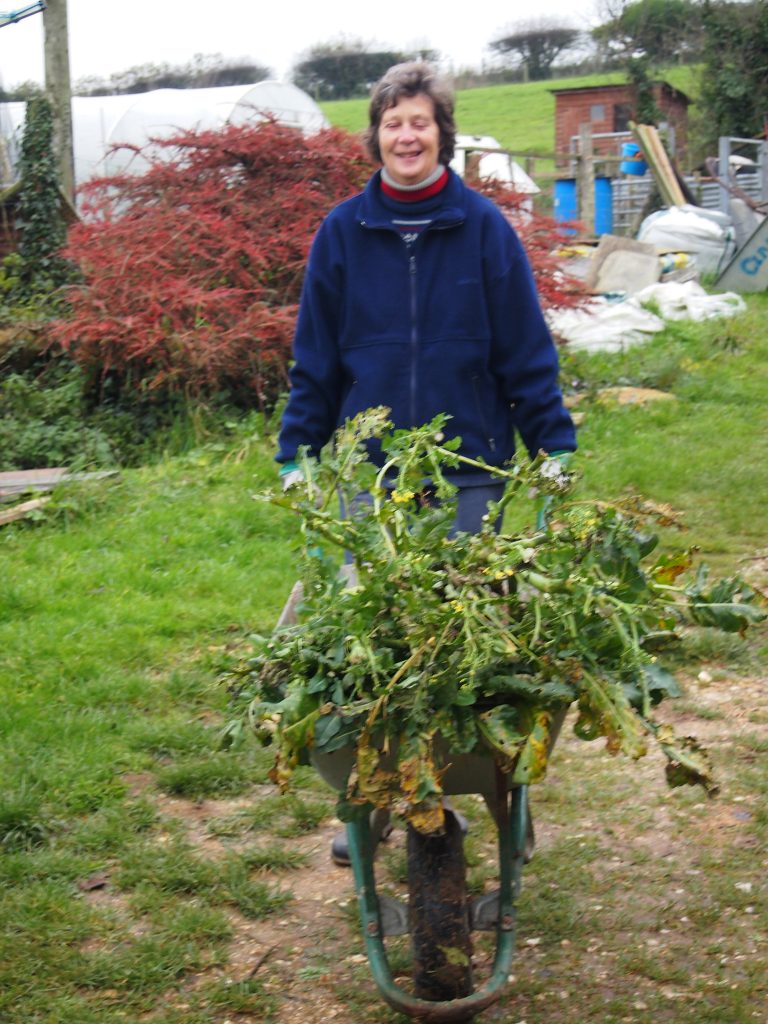 Care farming – Longmead Community Farm